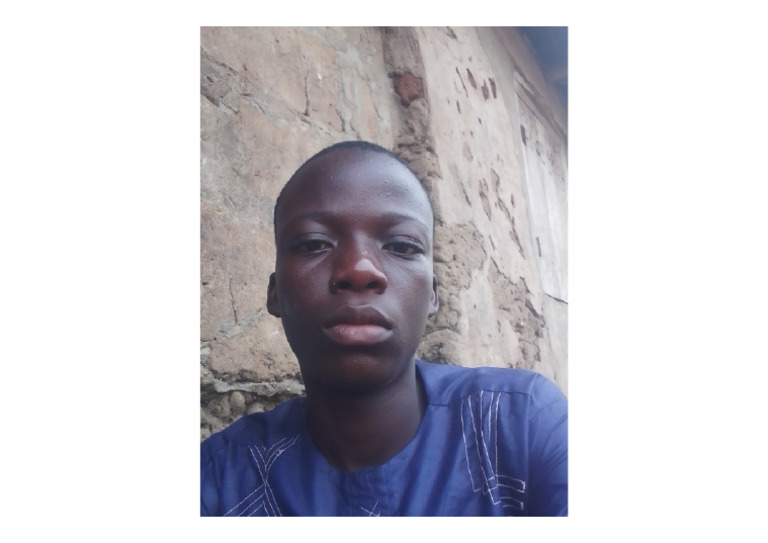 Presentation Print Temp | PDF