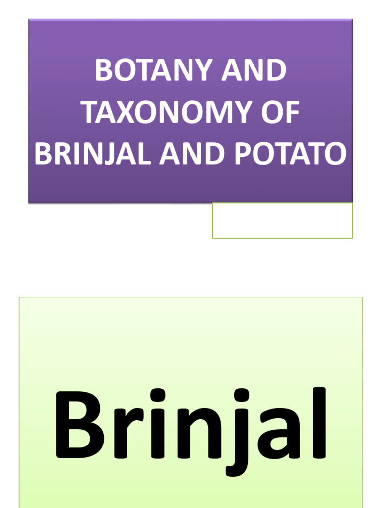 Botany and Taxonomy of Eggplant | PDF | Flowers | Potato