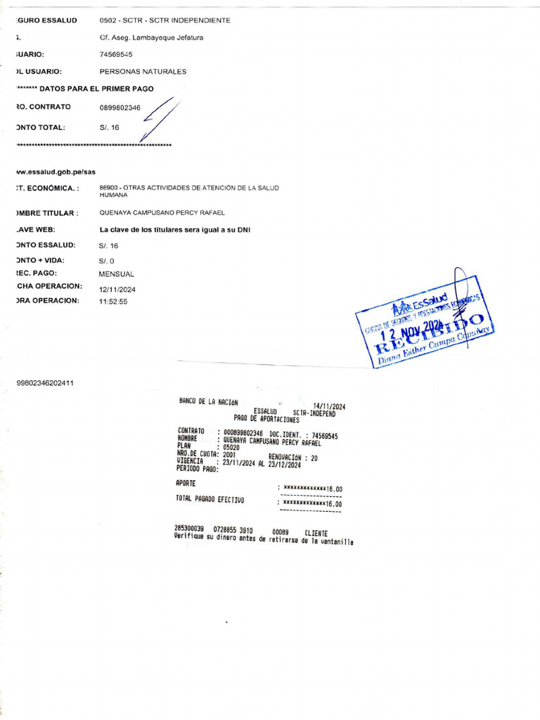 Seguro SCTR 20241114 - 11020655 | PDF