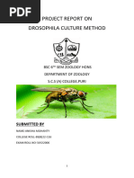 Science: Quarter 2 - Module 3: Explain How The Different Organ System ...