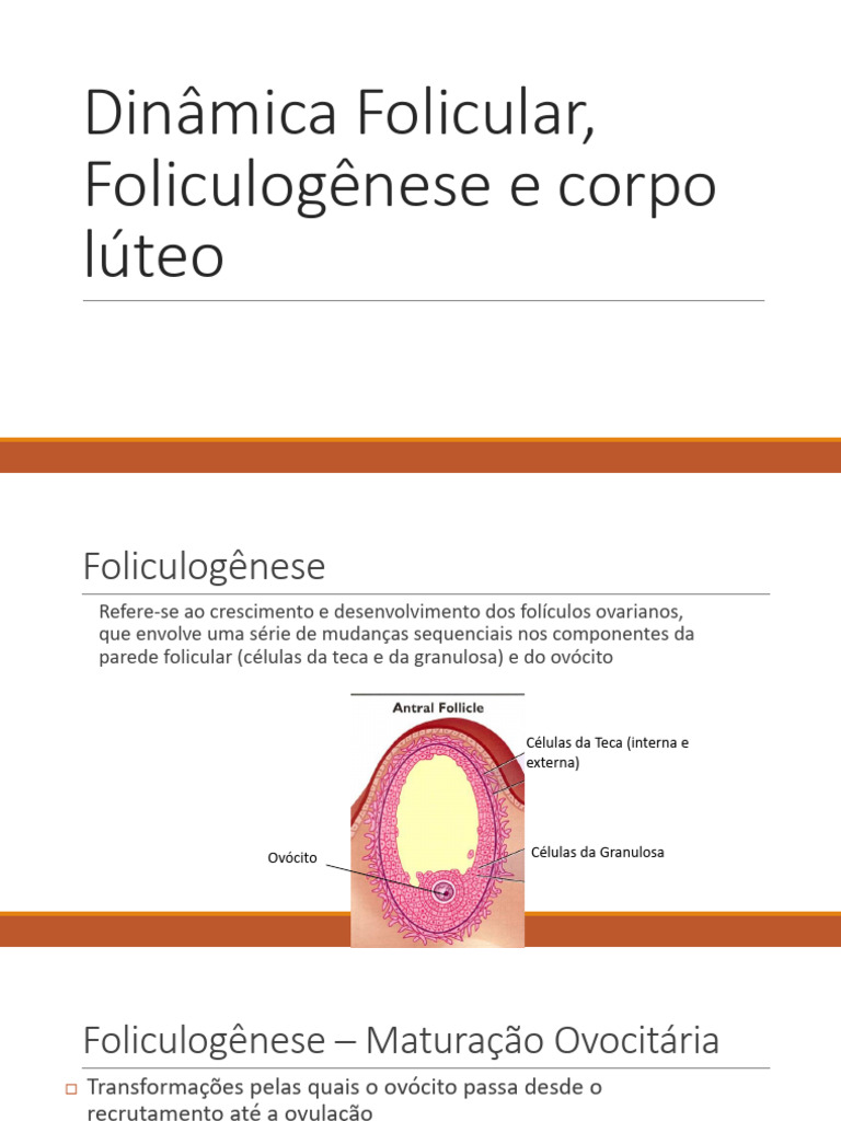 Aula 4 - Dinâmica Folicular Foliculogênese e Corpo Luteo. | PDF ...