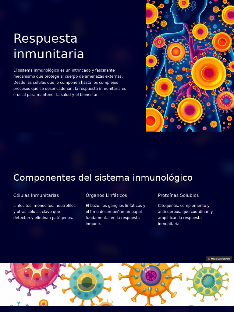 Respuesta Inmunitaria | PDF | Sistema inmune | Linfocitos