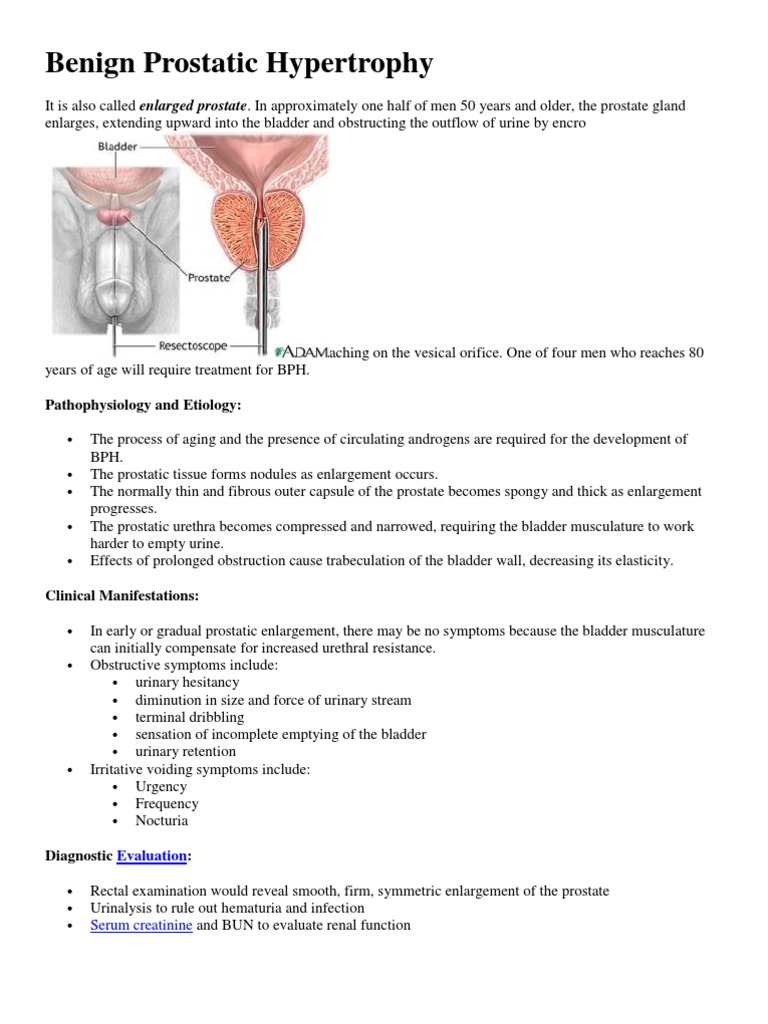 Understanding Benign Prostatic Hypertrophy | PDF | Prostate | Urology