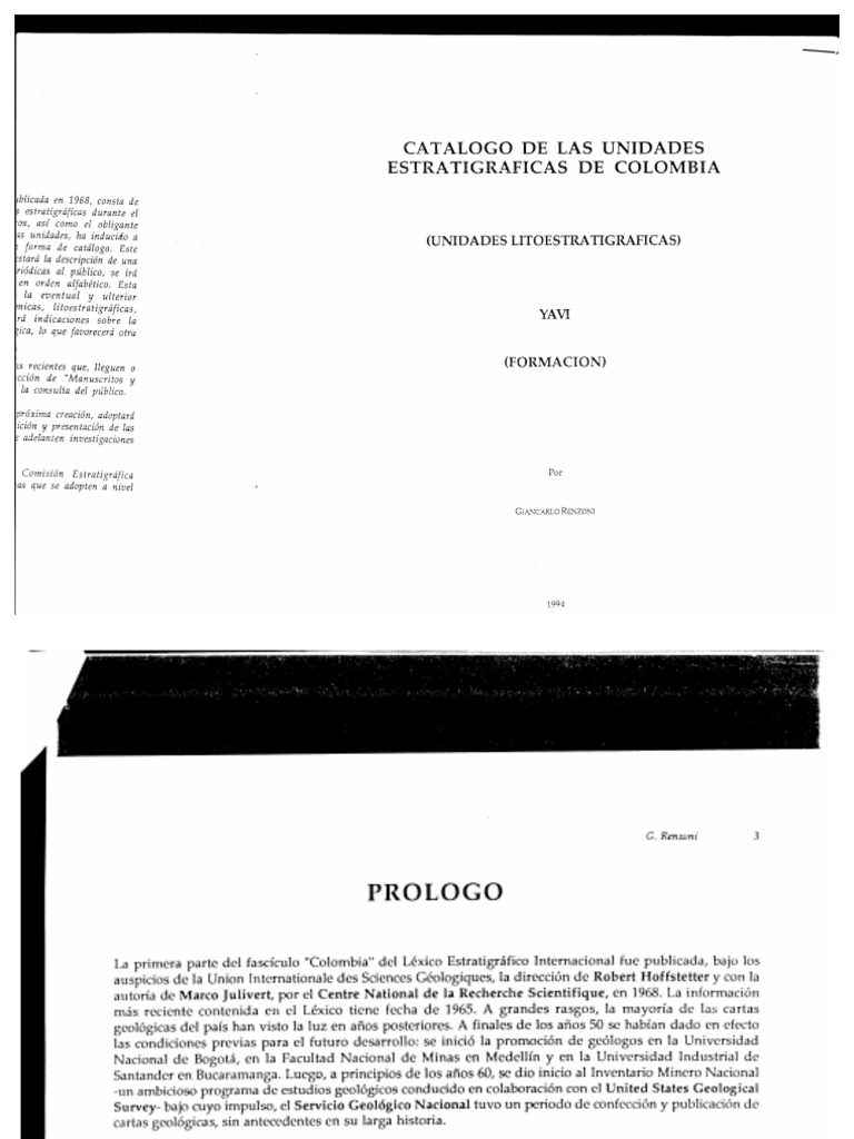 Renzoni 1994 Y | PDF
