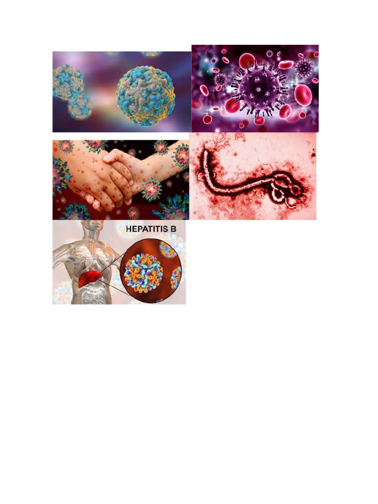 Virus | PDF