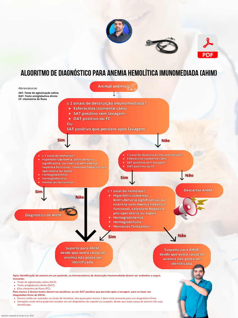 Diagnóstico de Anemia Hemolítica IMHA | PDF