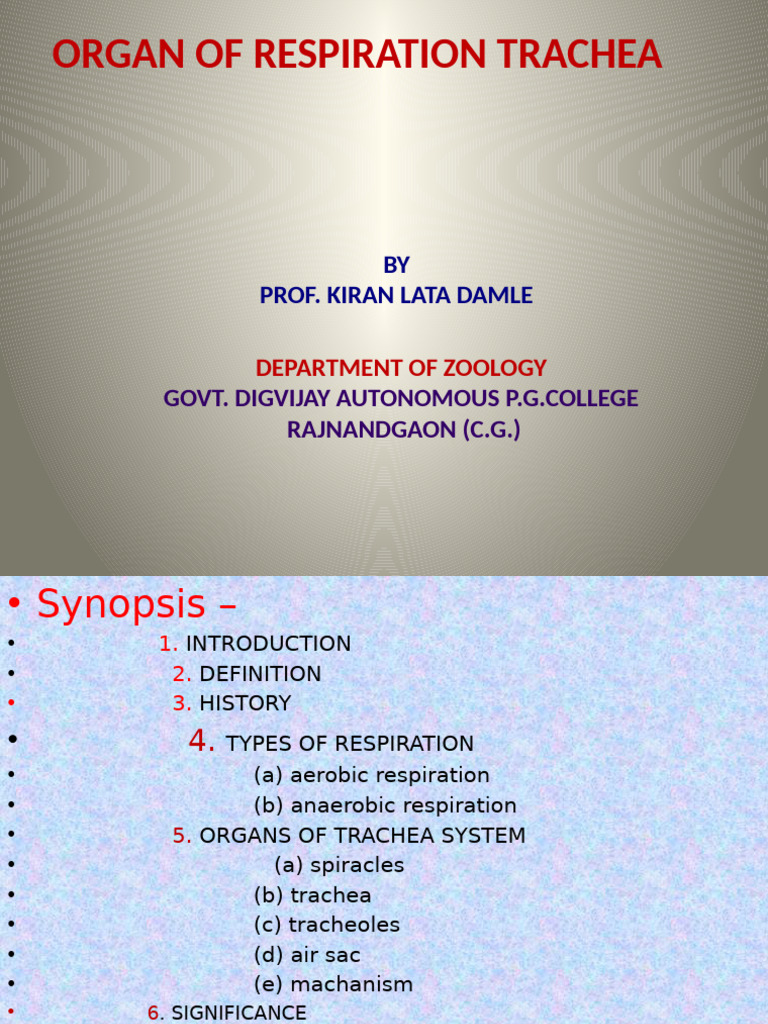Cockroach Tracheal Respiration System | PDF | Cellular Respiration ...