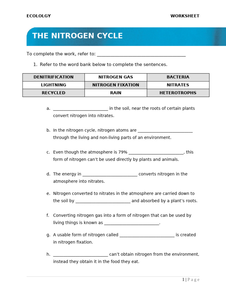 Nitrogen Cycle Worksheet Activities | PDF | Nitrogen | Soil