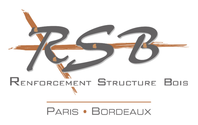Logo RSB | PDF