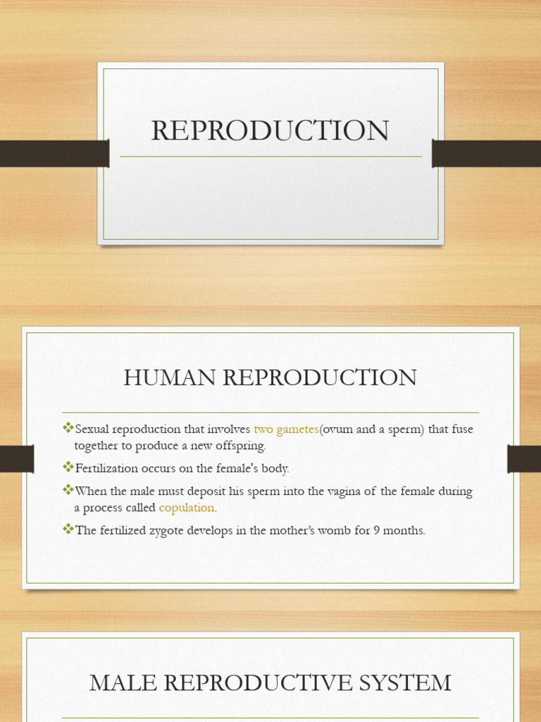 Human Reproduction and Ovarian Cycle | PDF