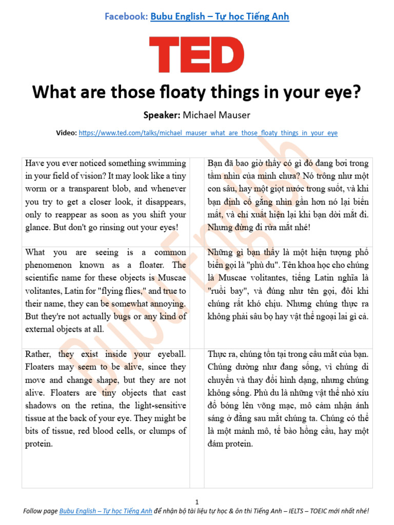 What Are Those Floaty Things in Your Eye | PDF