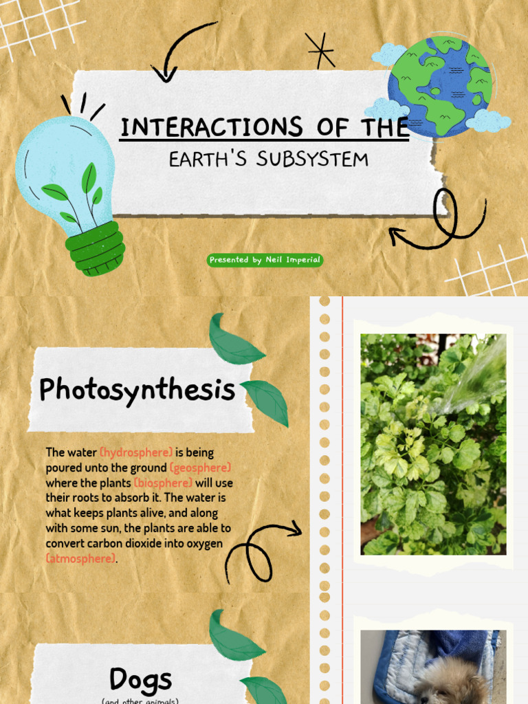 Interactions of The Earth's Subsystem | PDF