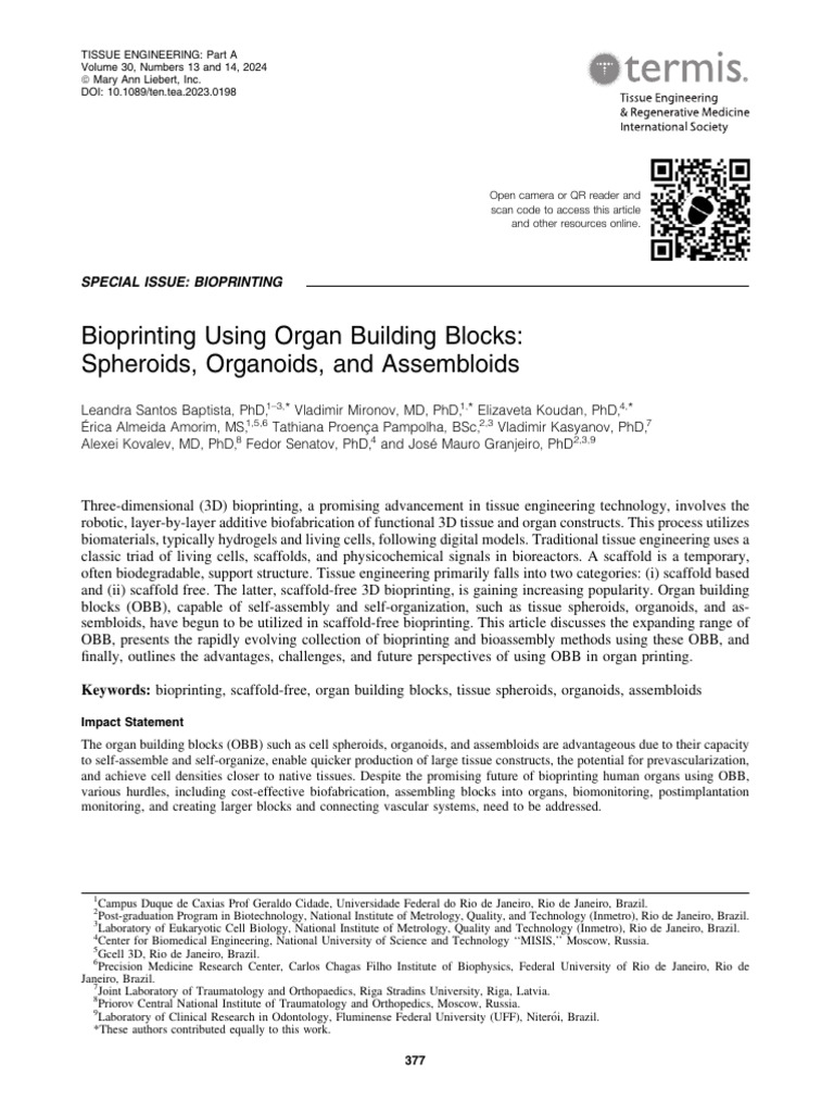 Baptista Et Al 2024 Bioprinting Using Organ Building Blocks Spheroids ...