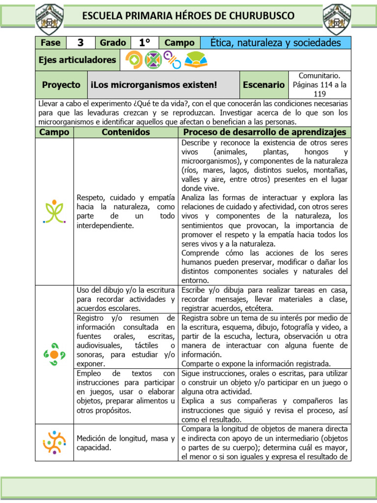 Proyecto: Los Microorganismos en 1° | PDF | Microorganismo | Experimentar