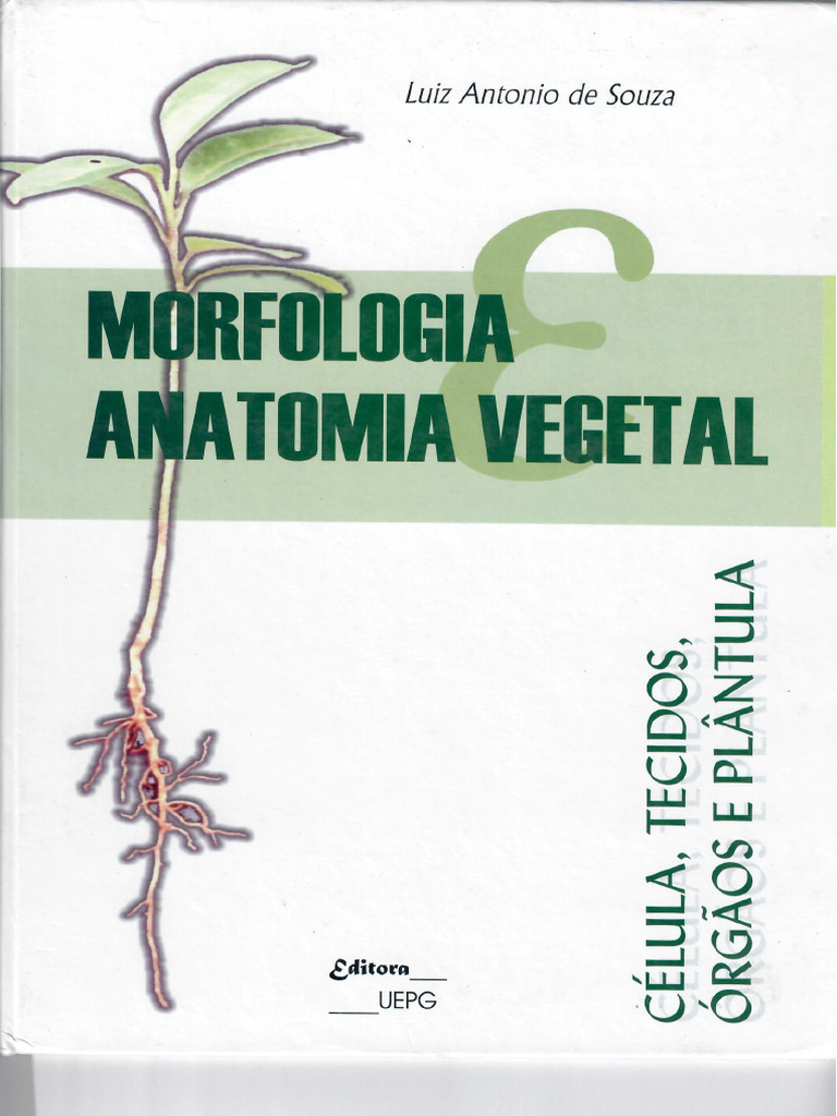 Sistema Fundamental - Luiz Antonio de Souza - Morfologia e Anatomia ...