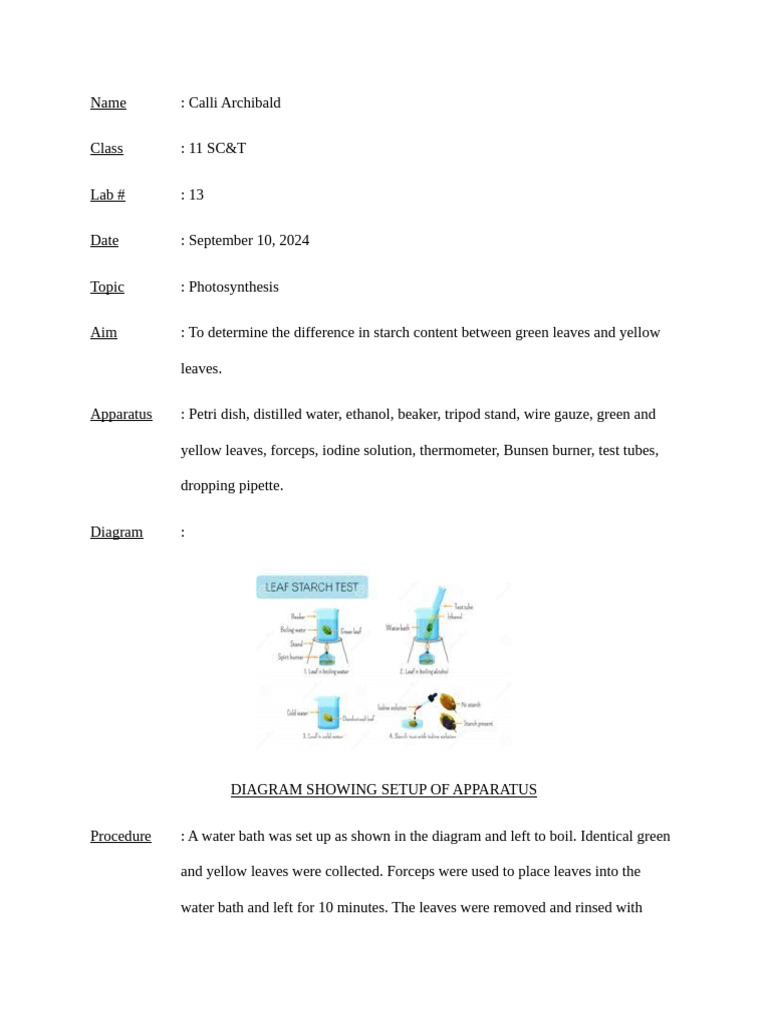 Andwele Haye - Biology Lab #13 | PDF | Photosynthesis | Leaf