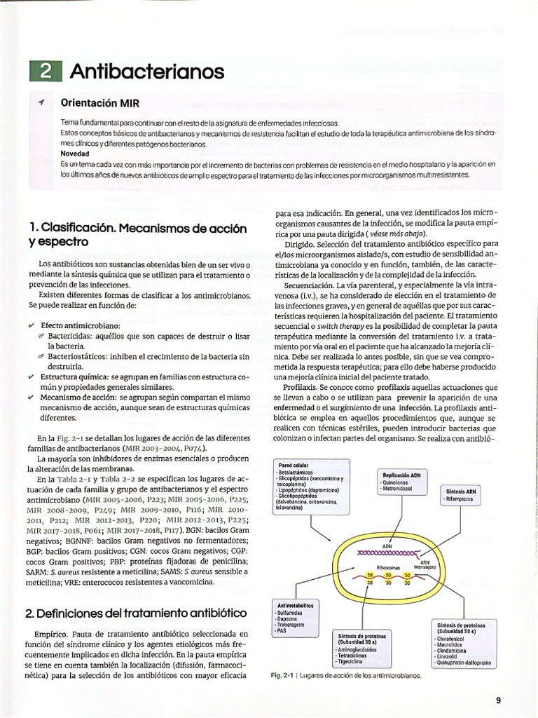 Antibacterianos | PDF