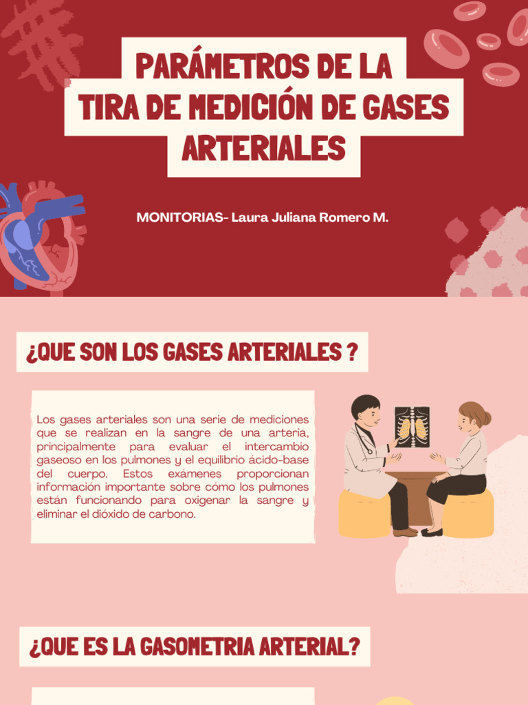 Parámetros de La Tira de Medición de Gases Arteriales | PDF ...