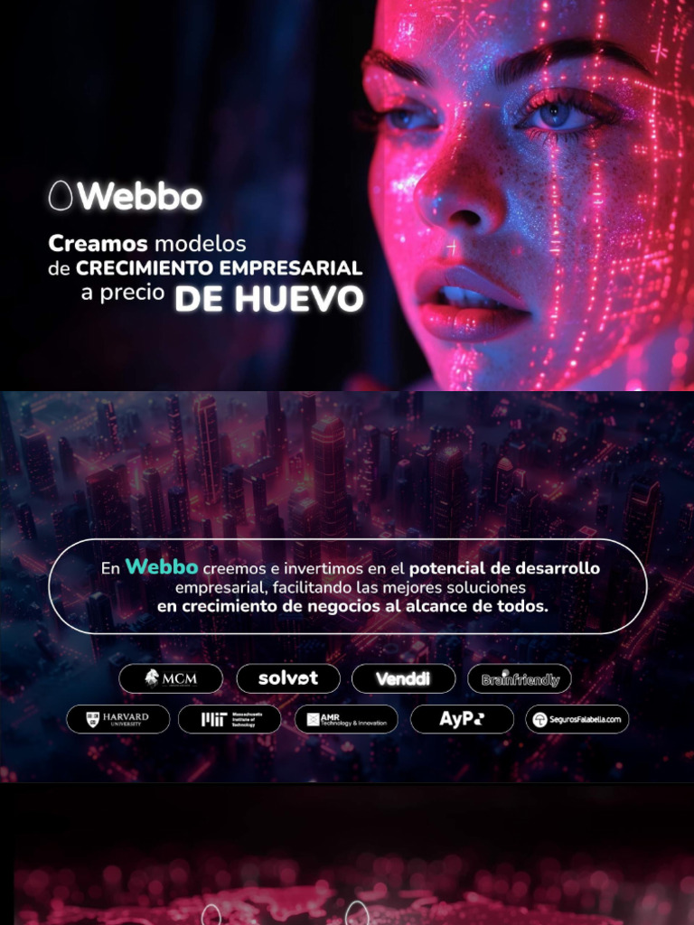 Webbo - Plan de Aceleración de Negocio - Marketing Integral | PDF
