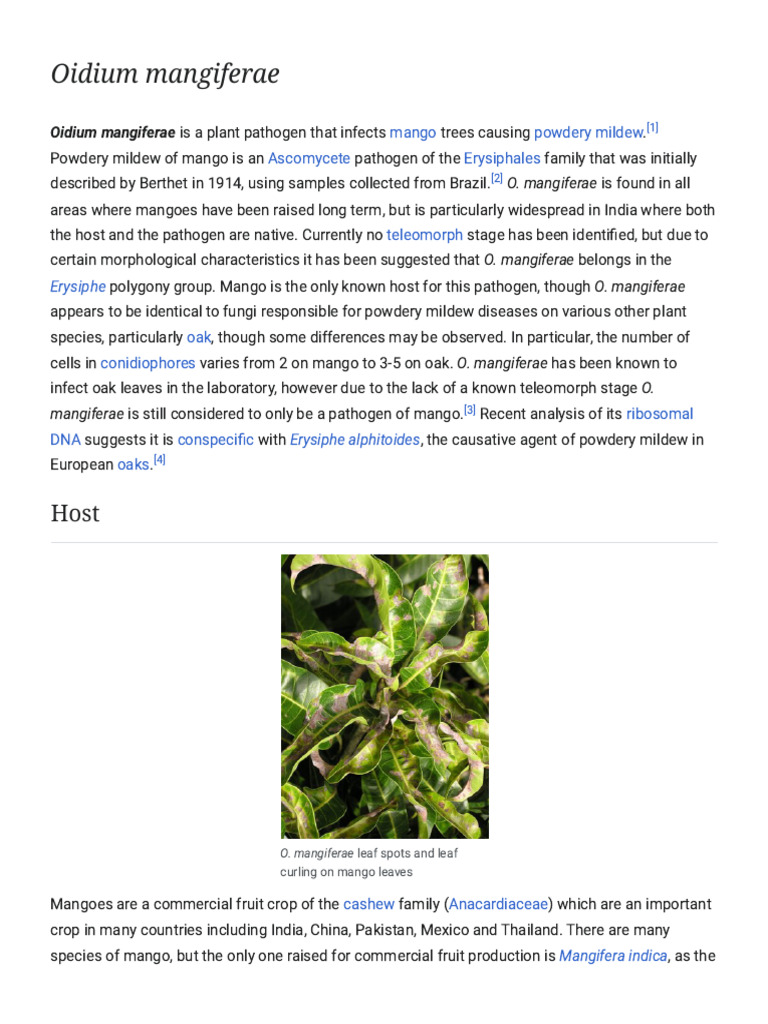 Oidium Mangiferae - Wikipedia | PDF | Plants | Organisms
