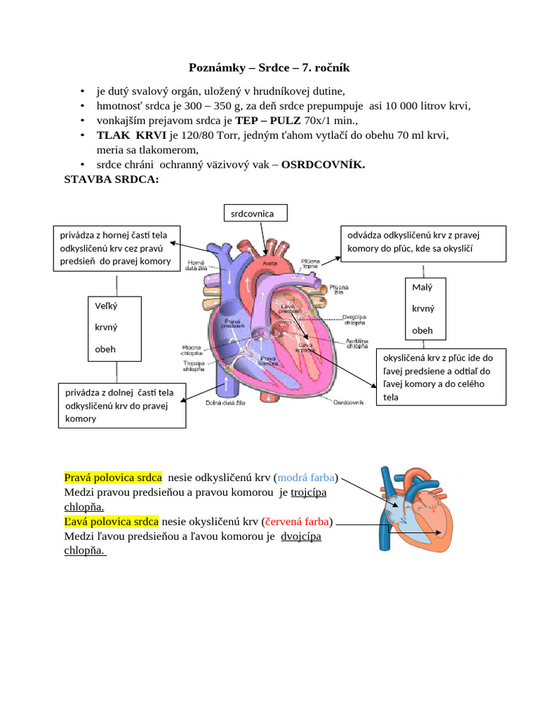SRDCE | PDF