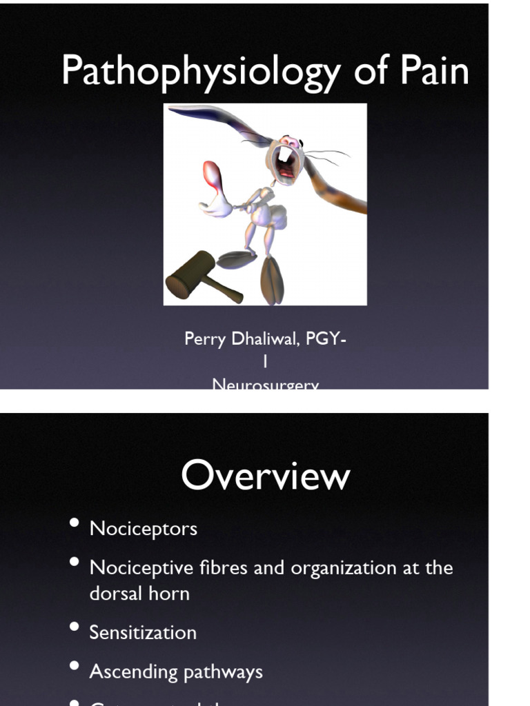 fn3 PD Pathophysiology of Pain | PDF | Thalamus | Nervous System