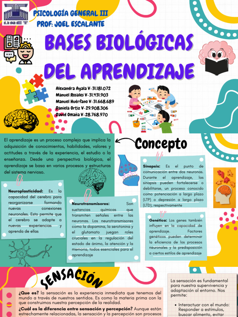 Bases Biológicas Del Aprendizaje | PDF | Cerebro | Percepción
