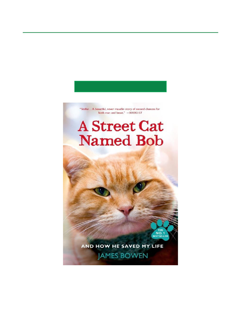 A Street Cat Named Bob Book Download | PDF