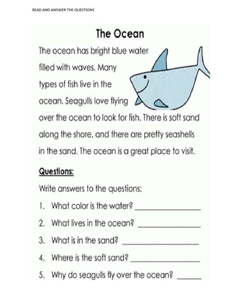 Reading Comprehension | PDF