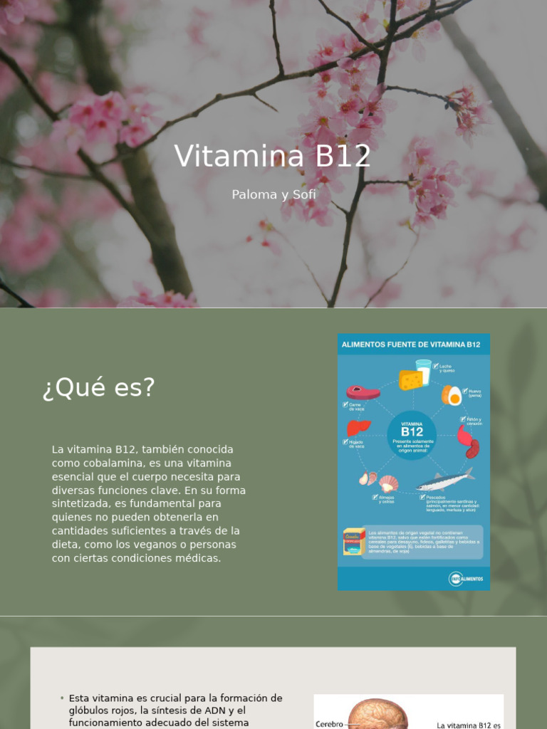 Vitamina B12 | PDF