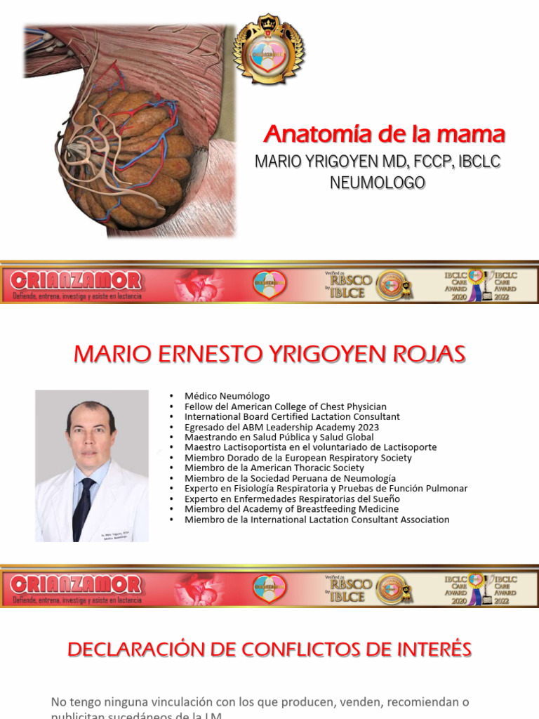 Anatomía y desarrollo de la mama | PDF | Pecho | Amamantamiento
