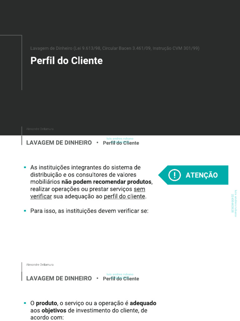 48 Perfil Do Cliente | PDF