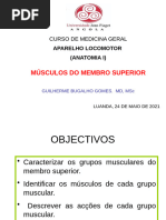 Músculos da Cintura Escapular e Movimentos | PDF | Sistema Locomotor ...