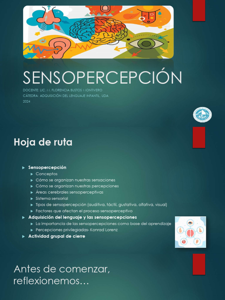 SENSOPERCEPCIÓN | PDF | Percepción | Sentidos