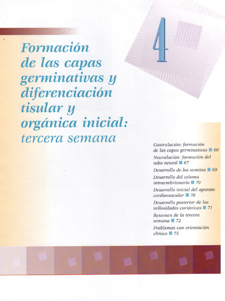 Keith L. Moore BA MSC PHD FIAC FRSM - Embriología Clínica, 7 Ed. (2004 ...