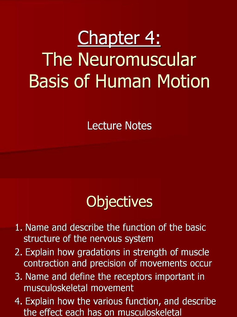Neuromuscular Basis of Movement | PDF