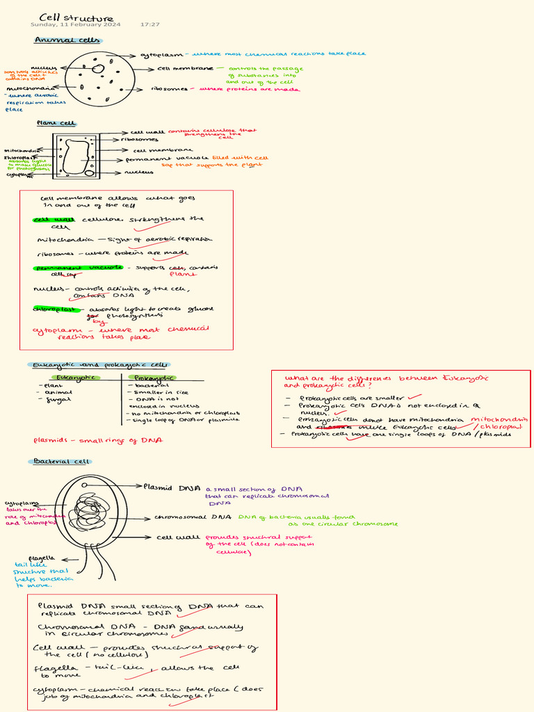Cell Structure | PDF