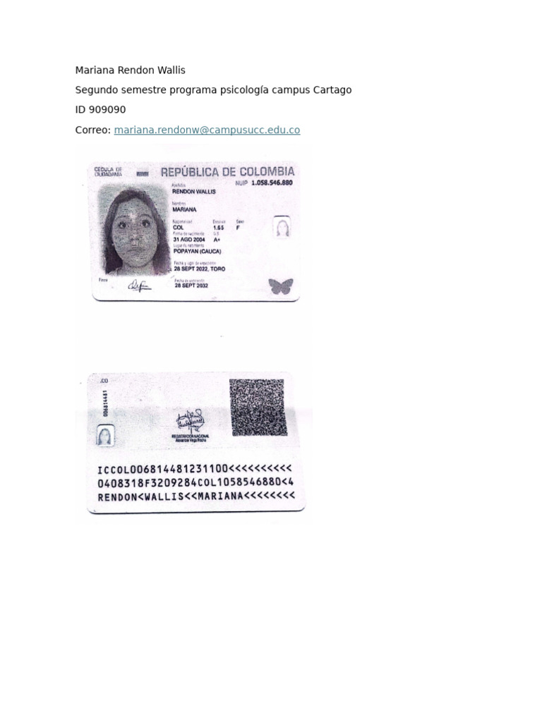 Mariana Rendon Wallis | PDF