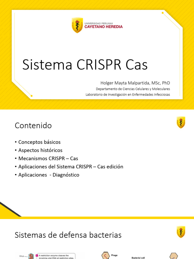 Clase 9. CRISPR CAS | PDF | Crispr | Biology