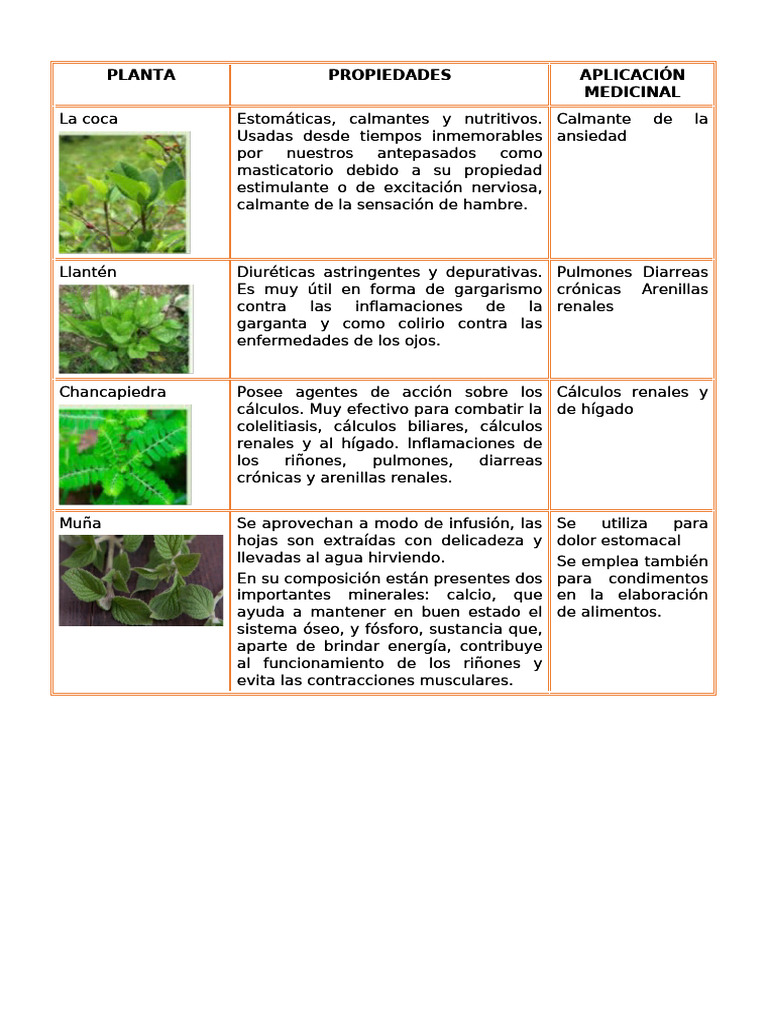 Ejemplos de raíces medicinales | PDF