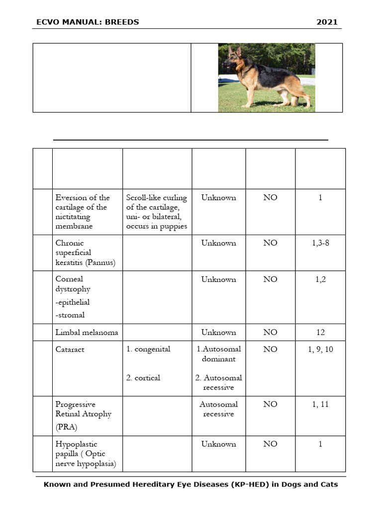 Hereditary Eye Diseases in German Shepherds | PDF | Ophthalmology ...