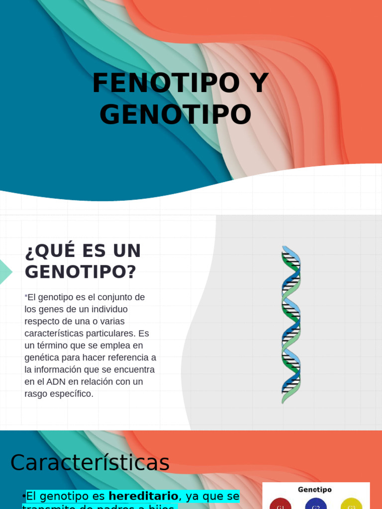 Relación entre Genotipo y Fenotipo | PDF | Genotipo | Fenotipo