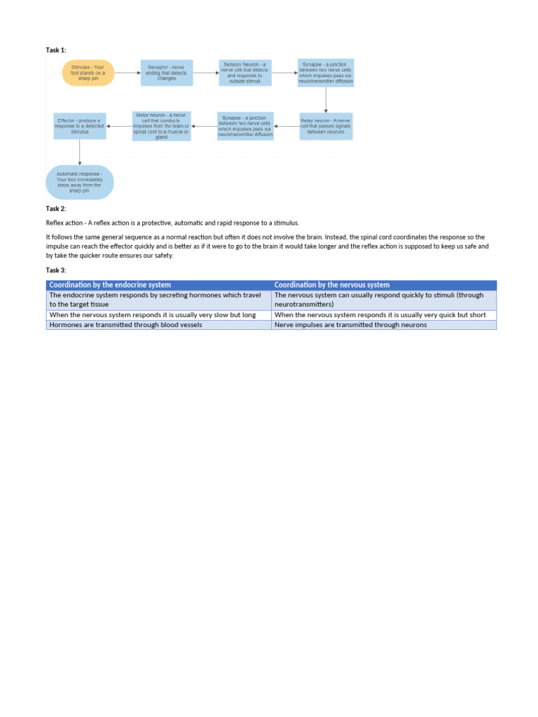 Reflex Actions and Body Coordination | PDF