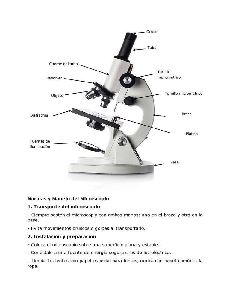 Normas para el Manejo del Microscopio | PDF