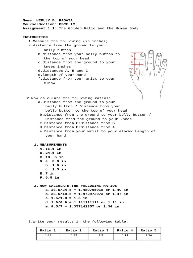Golden Ratio in Human Body Measurements | PDF