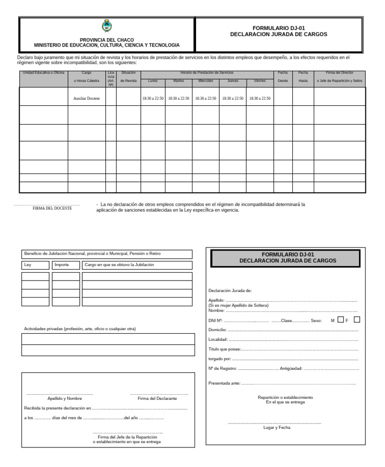 Declaración Jurada de Cargos - ACTUALIZADO 2025 | PDF