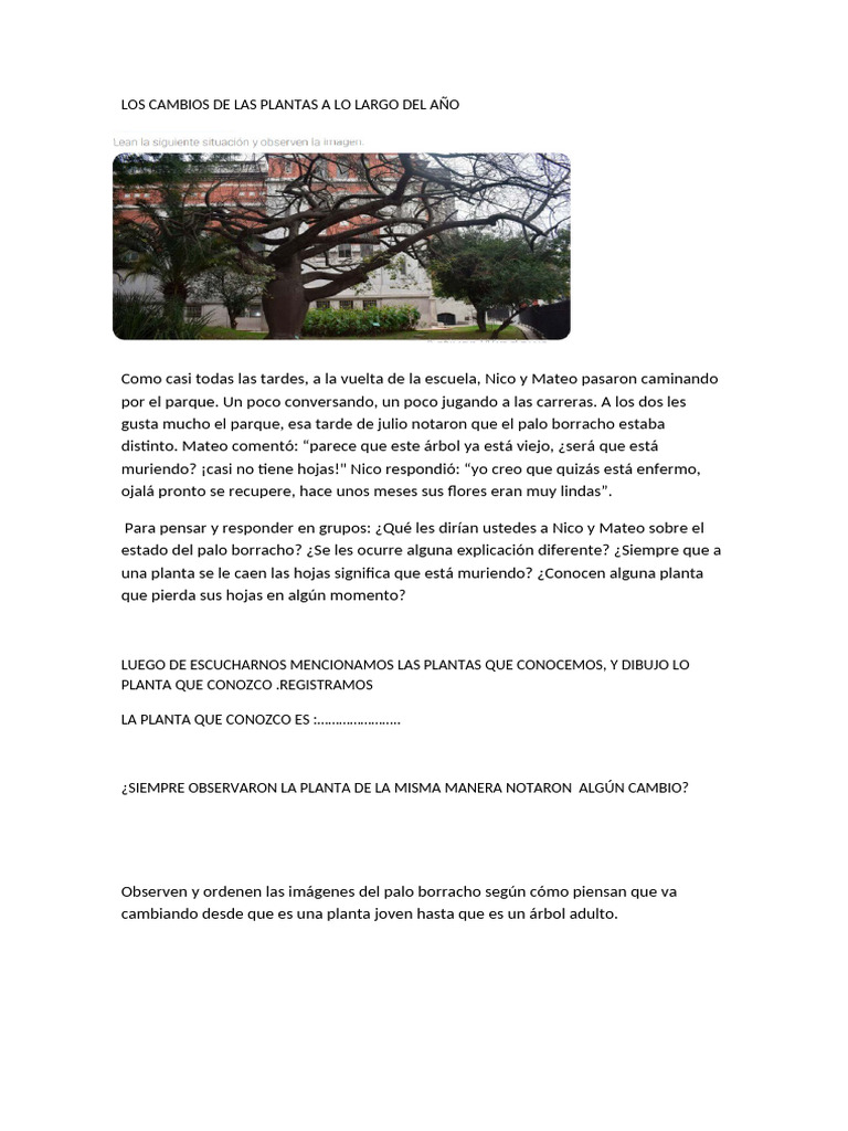 LOS CAMBIOS DE LAS PLANTAS A LO LARGO DEL AÑO 3 Grado | PDF | Arboles ...