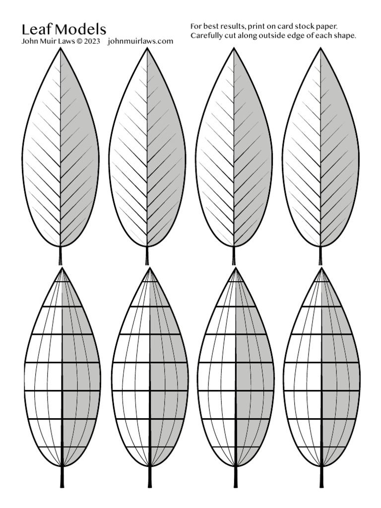 Leaf Models Fw0l4g | PDF