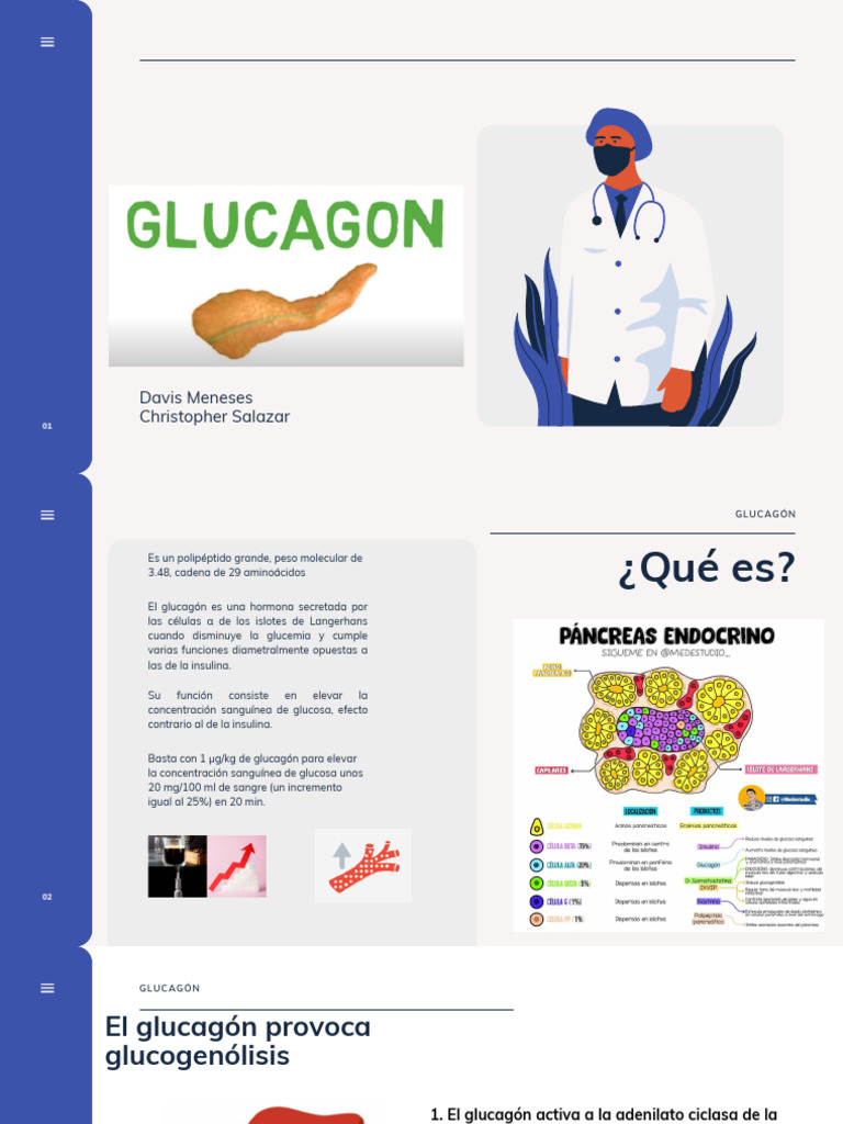 Funciones y regulación del glucagón | PDF | Insulina | Bioquímica