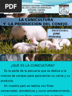 Ciclo de Vida del Conejo para Niños | PDF